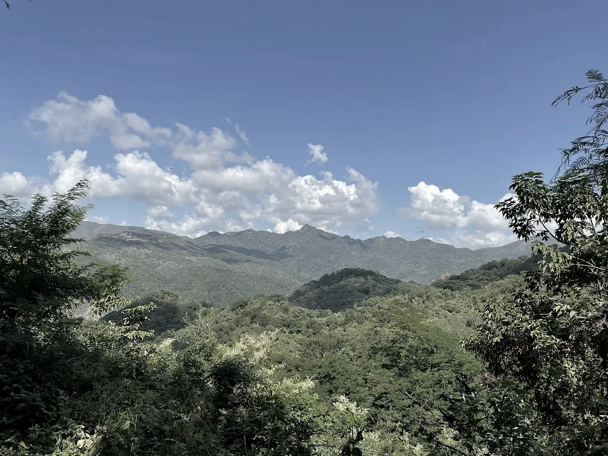 Vizsla Silver Enters Us$220m Project Finance Mandate With Macquarie To ...